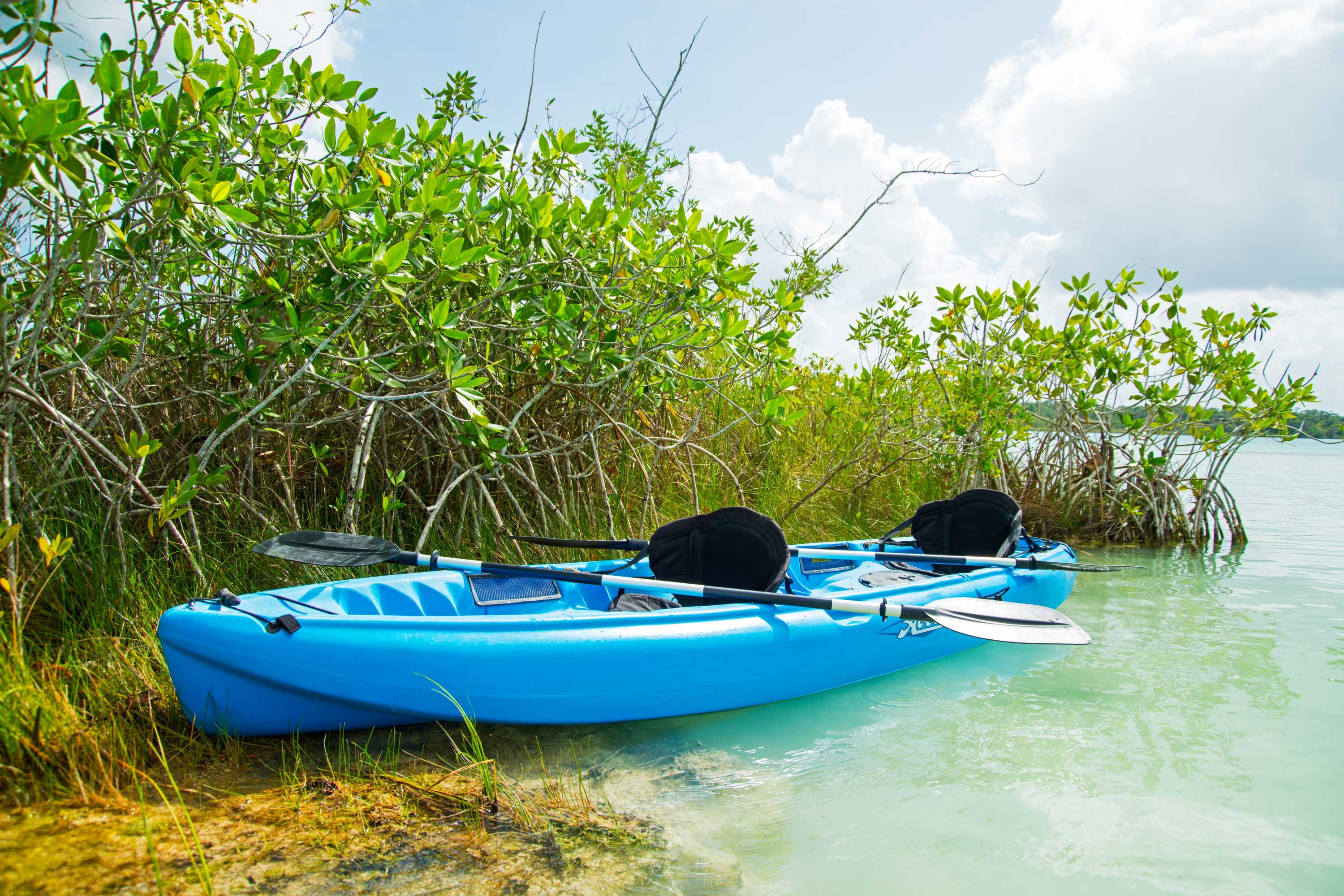 Actividades en The Explorean Kohunlich | FAVC Blog